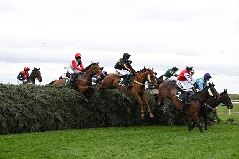 Grand National day 1 full race card and tips - list of runners at ...