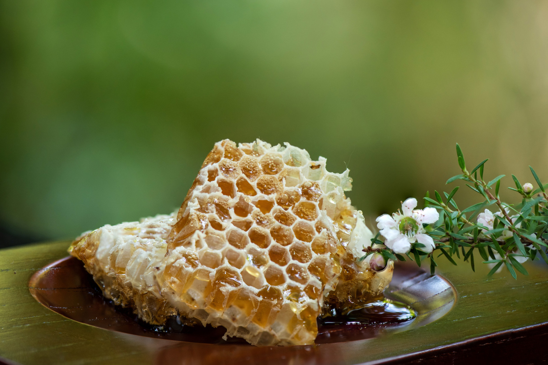 Natural antibiotic foods to add to your diet