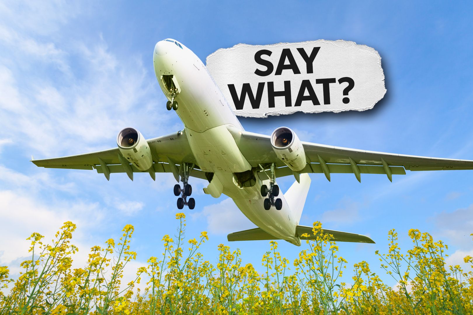 What Are Some Of The Most Quirky Airline Call Signs In Aviation History?