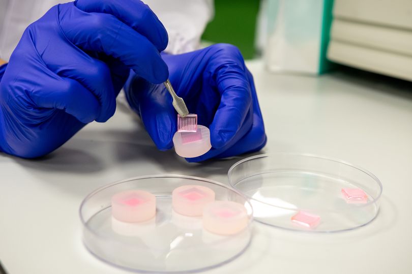 New patch heals wounds fast and cuts inflammation 50pc