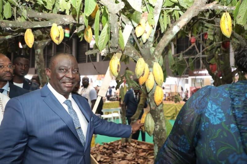 Cacao : Le Prix du Kg fixé à 2 200 FCFA pour la Campagne intermédiaire ...