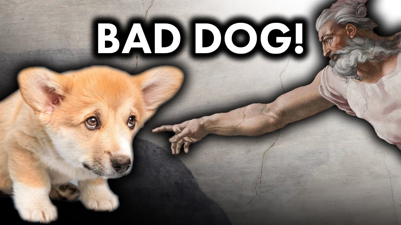 Street Dogs and Sacred Texts: Rethinking Biblical Views on Dogs