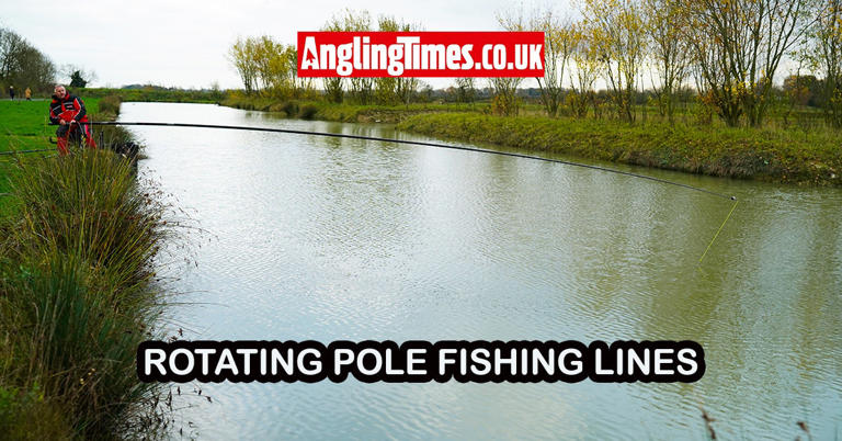 Pole fishing line rotation