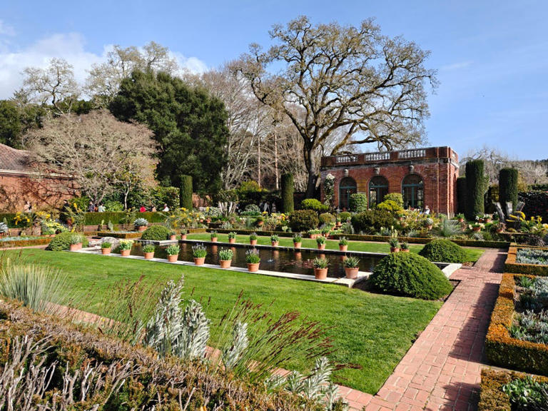 Pixel 9 Pro Fold vs. Oppo Find N5 Camera Comparison: Which Pictures ...