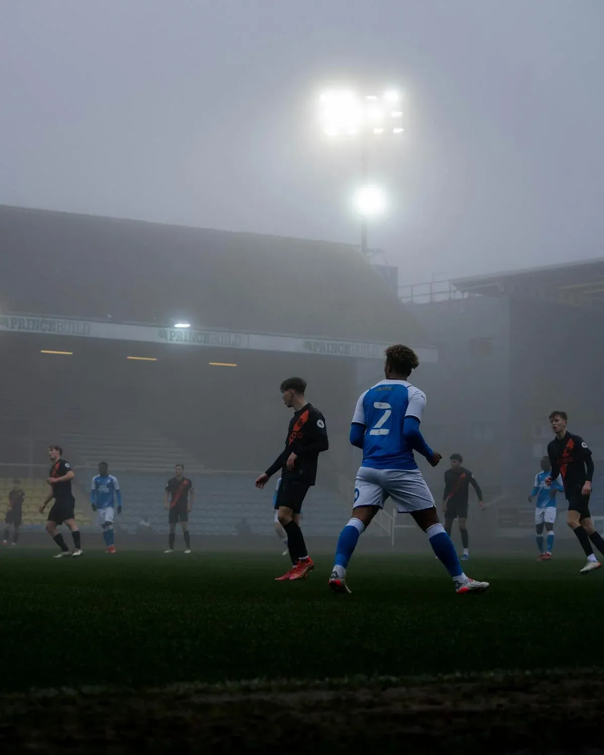 12 Times Nature Interrupted a Game in the Weirdest Way