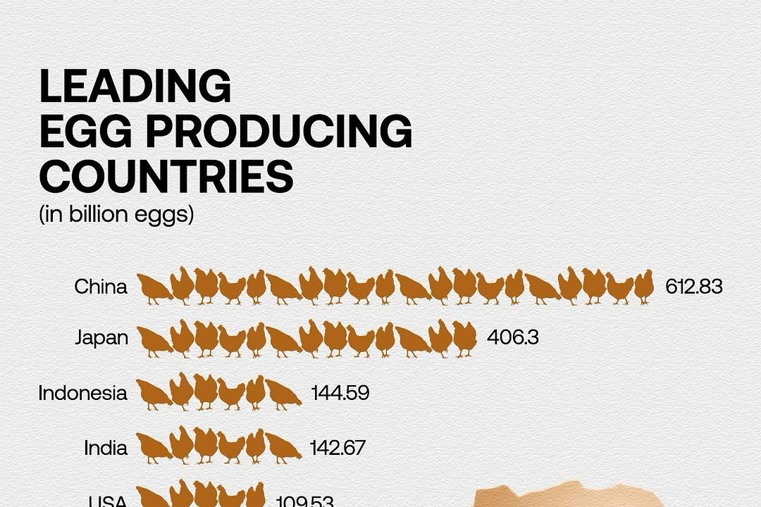 Which countries produce the most eggs?