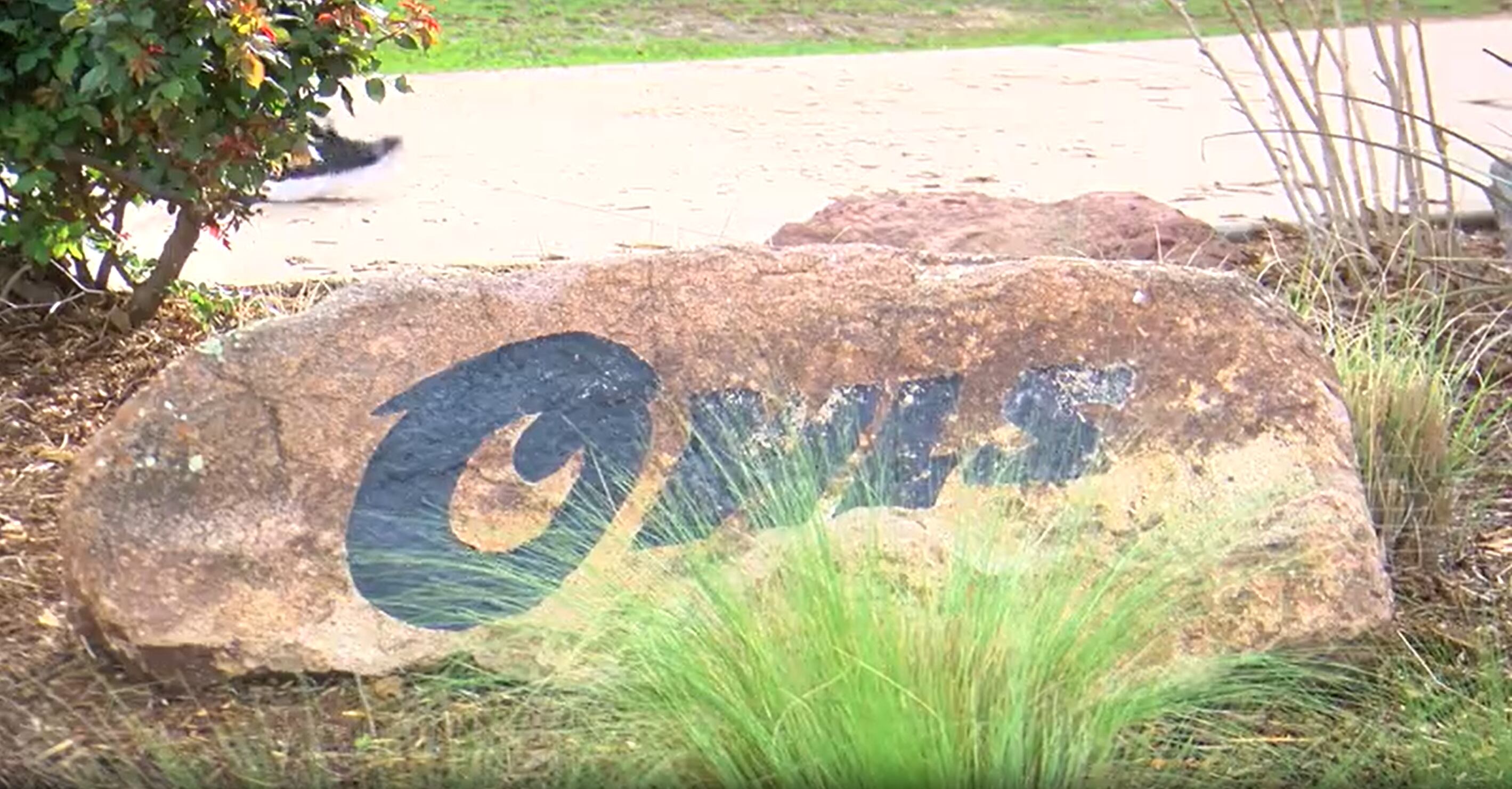 Elgin teacher one of the top 10 finalists for Oklahoma Teacher of the Year