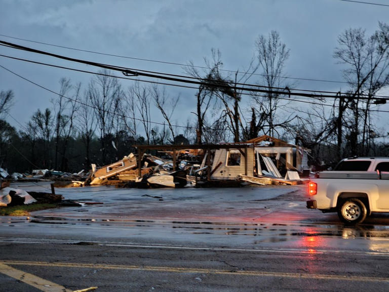 Cute and Colorful Red Bird Craft