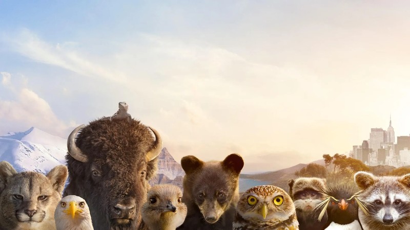 Tom Hanks goes wild: channelling David Attenborough in 'The Americas ...