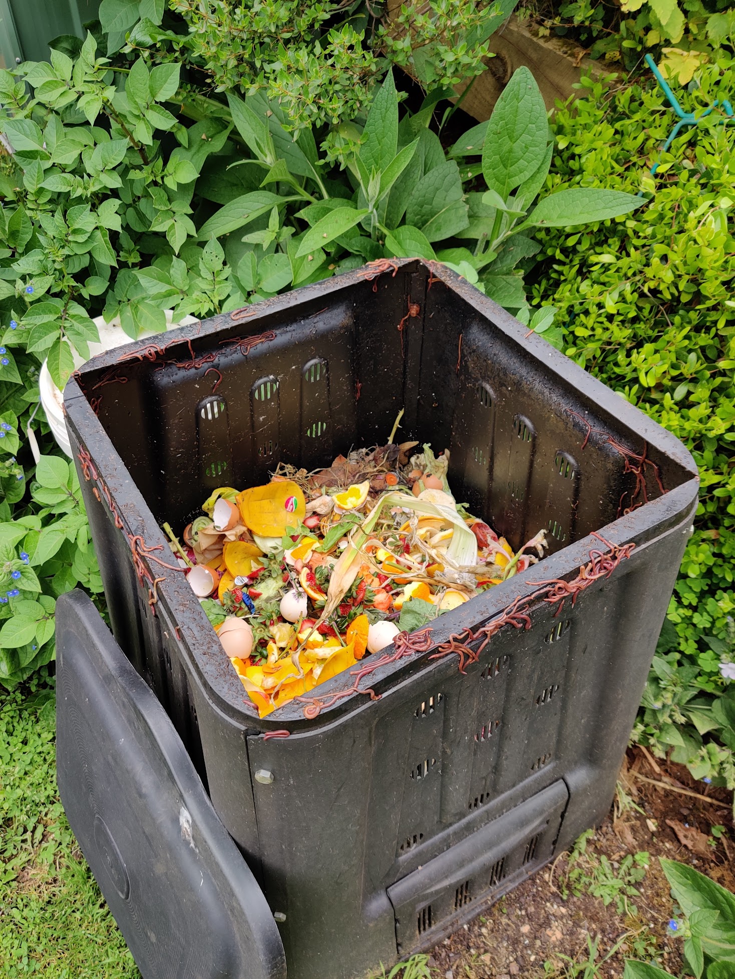 Why Ditching Home Composting Helped Me—and the Earth