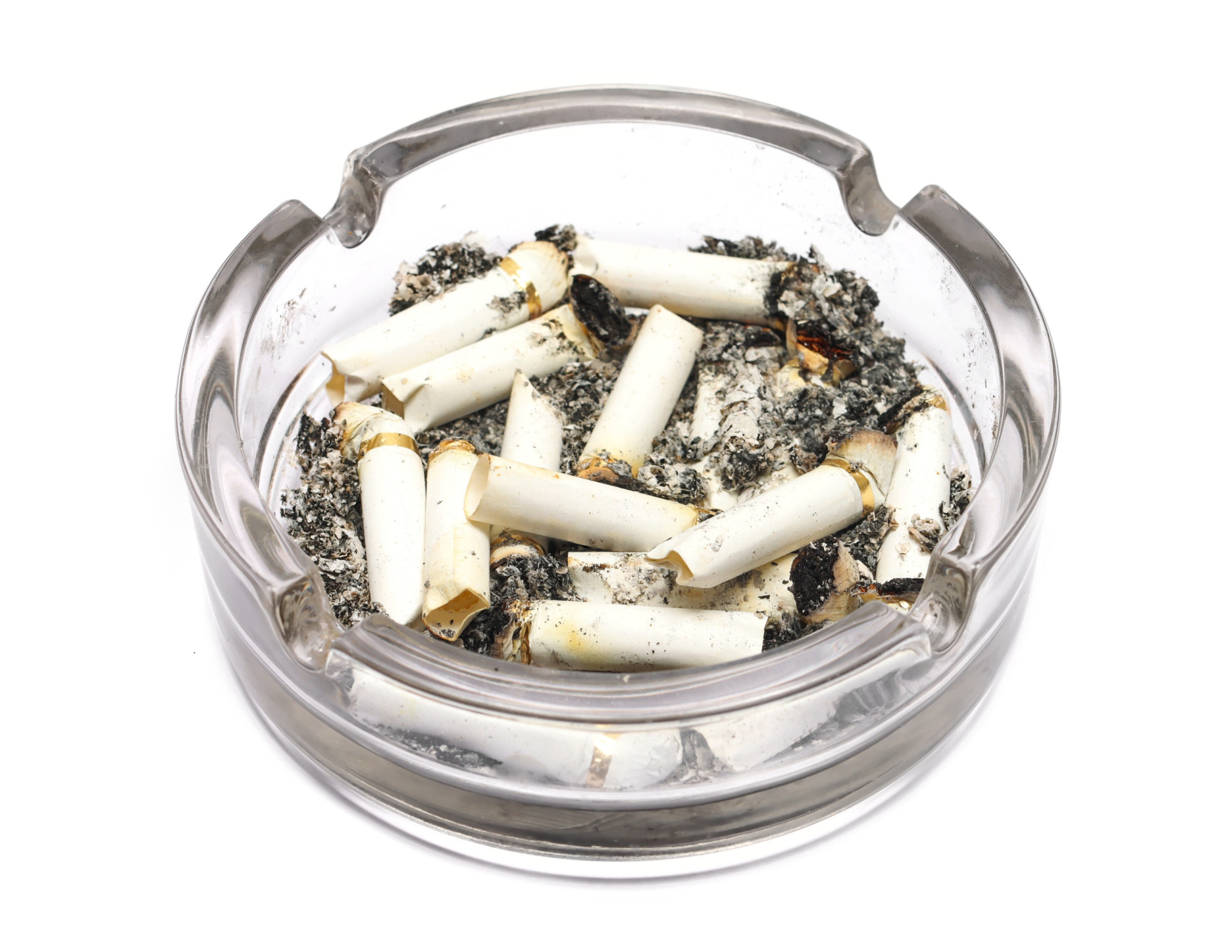 Le mythe de la Terre plate : comment et pourquoi certains y croient ...