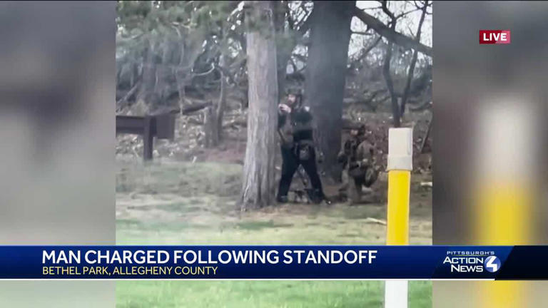 SWAT, police: Man taken into custody following standoff in Allegheny County