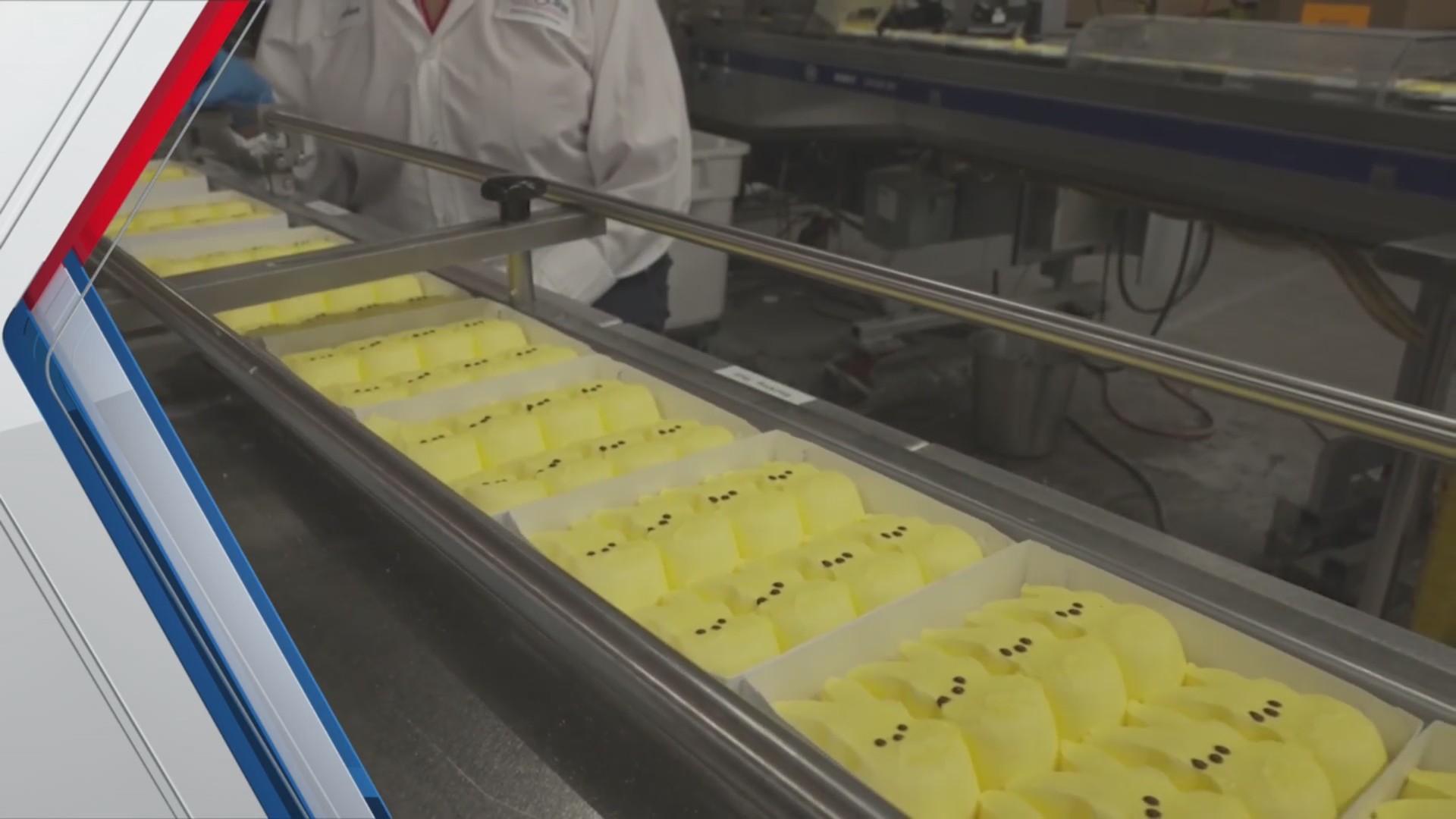 Cleveland's Own: Sarah Yoder