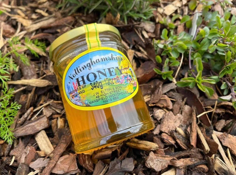 Check out the Mansfield farm shop selling Strawberries for 75p a punnet