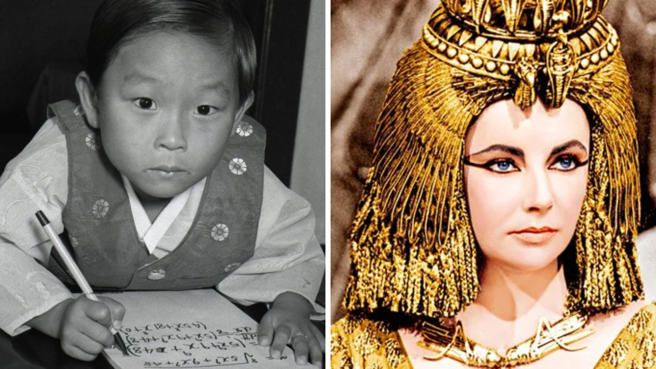 30 People With The Highest IQ In History