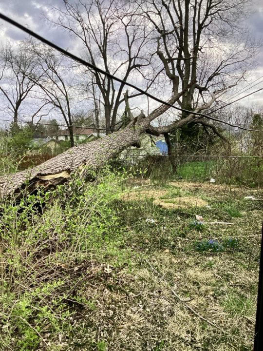 Downed trees, power outages, tornado damage: NWS confirms EF2 hit ...