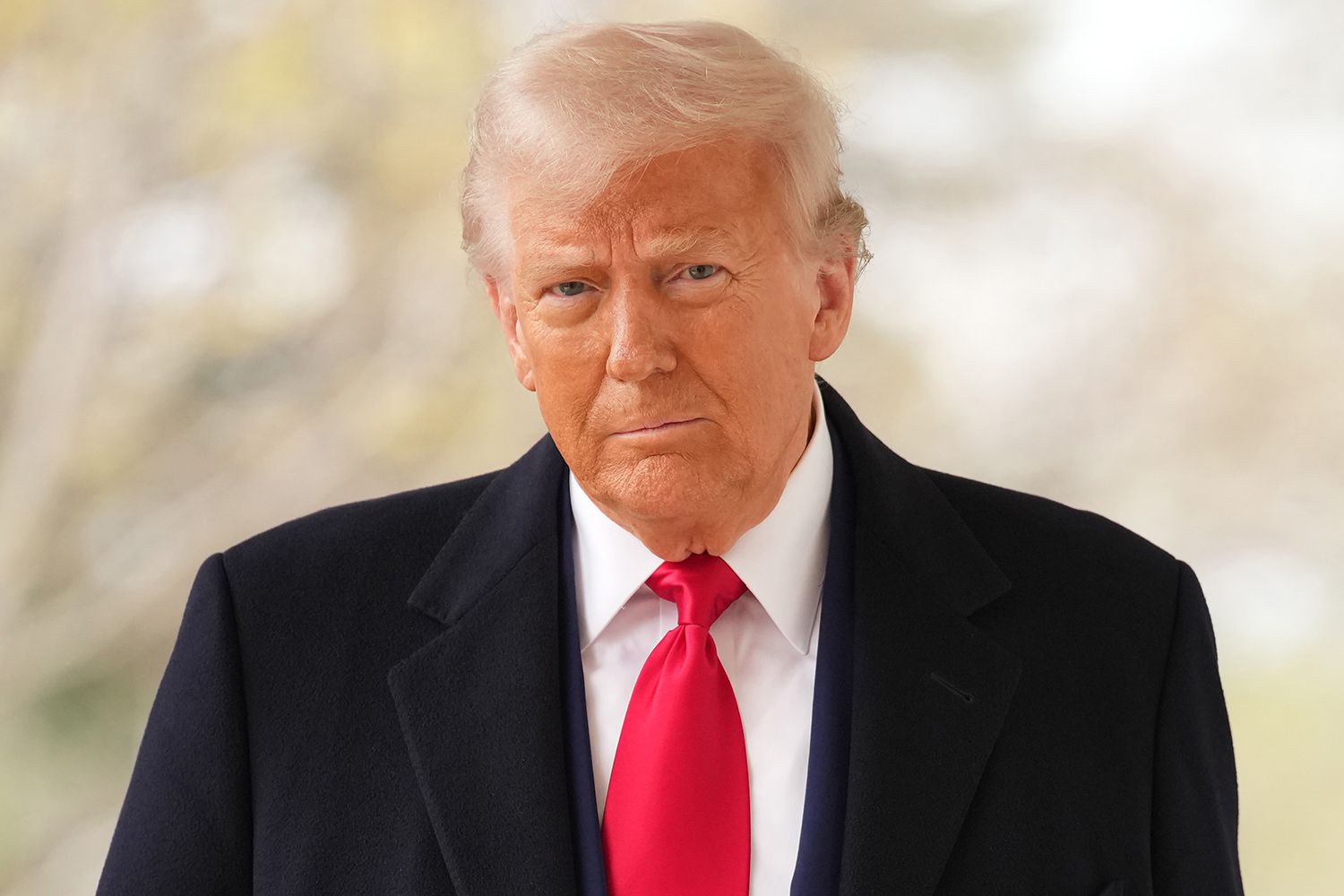 Trump Proudly Debuts New Tariff on a Group of Antarctic Islands. Only ...