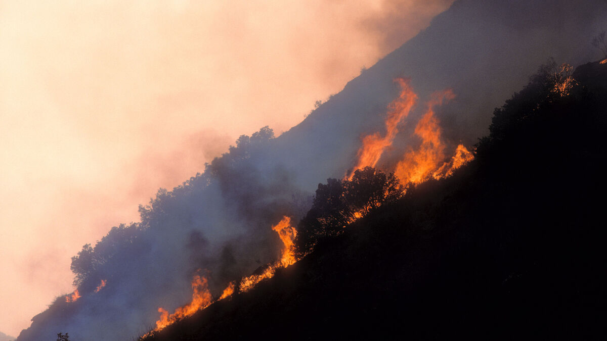 Climate crisis on track to destroy capitalism, warns top insurer