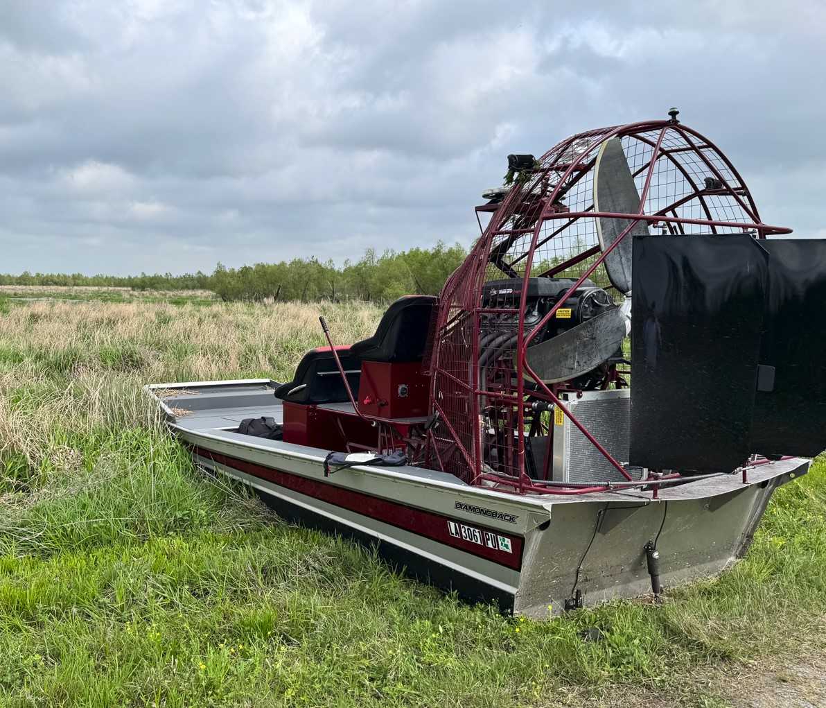 Two bodies have been recovered in plane crash near Raceland