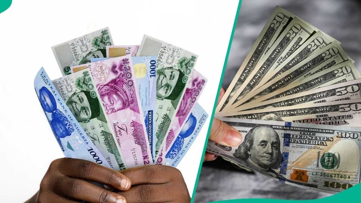 See the new exchange rate for Dollar as Naira recovers