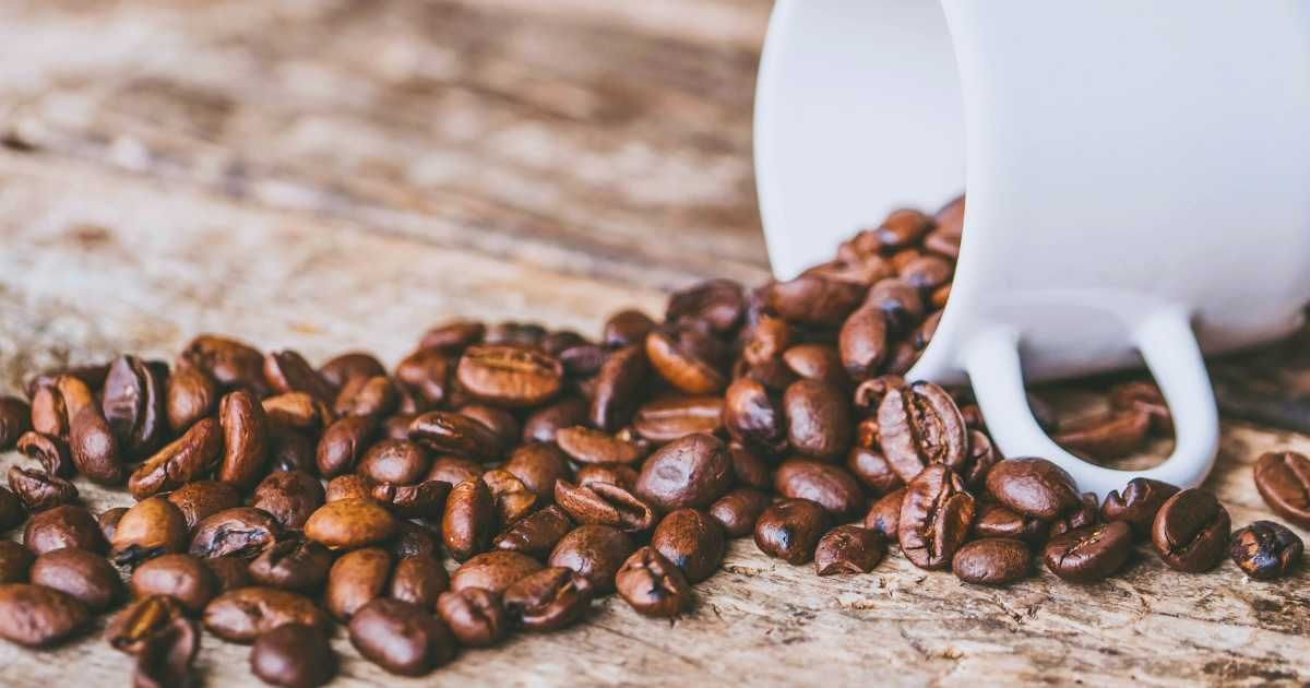 Rediscovery of Rare Forgotten Bean Could Save Coffee From Going Extinct ...