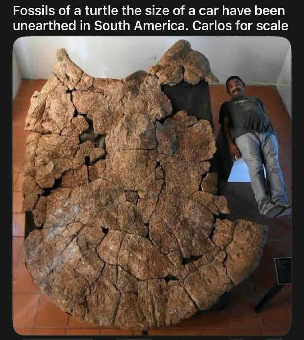 42 Hilarious Brand New Sentences That Sprung Into Existence From The ...