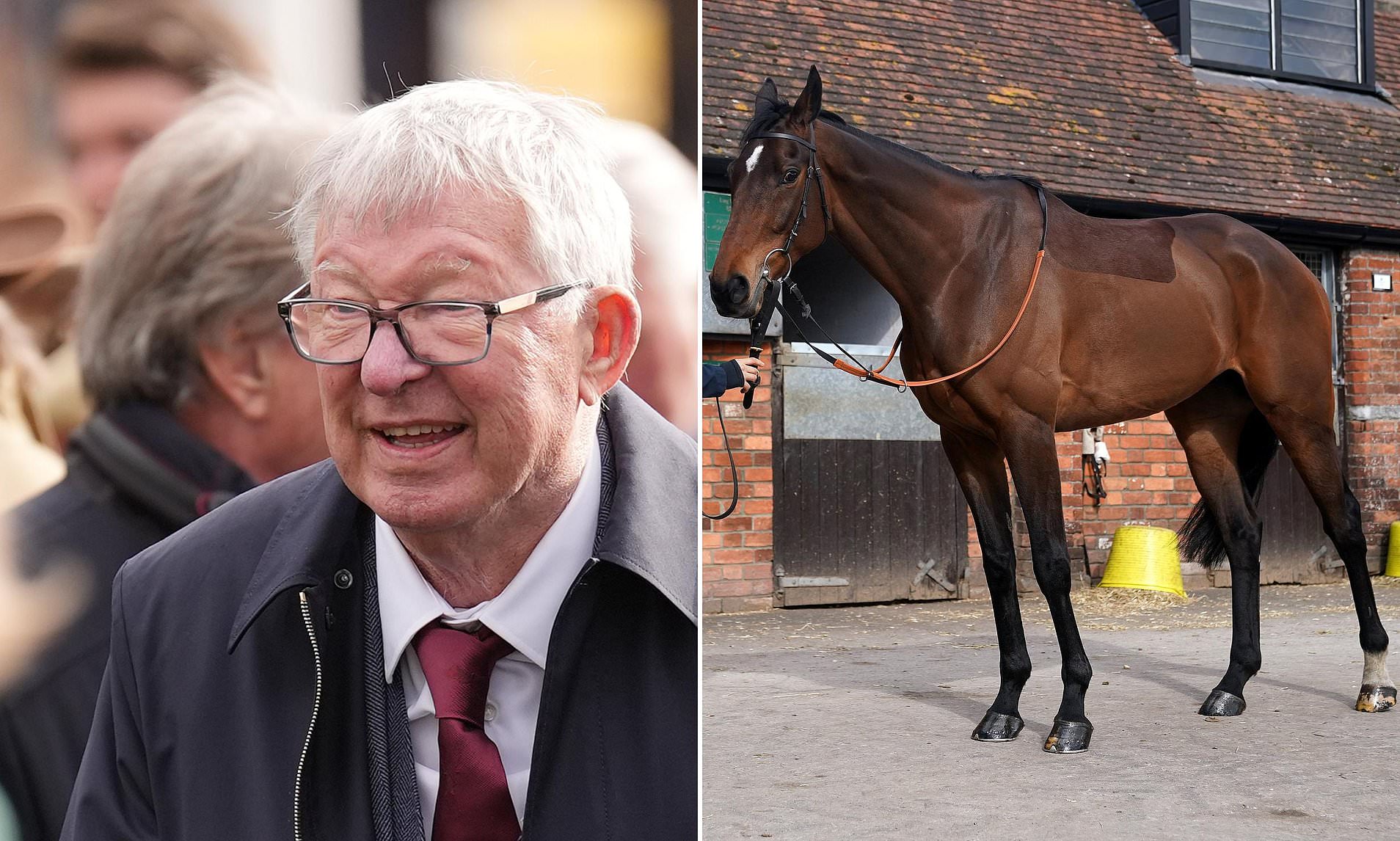 2025 Grand National: The staggering amount Sir Alex Ferguson has made ...
