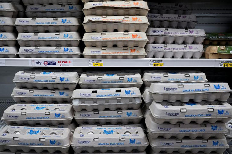 Are egg prices down? Trump claimed fact-checked as customers will still ...