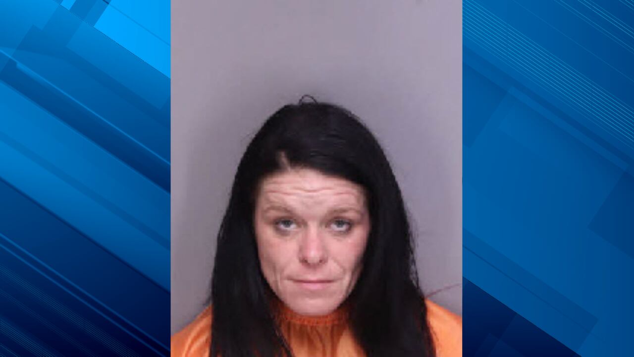 Woman arrested in Pee Dee drug bust, officials say