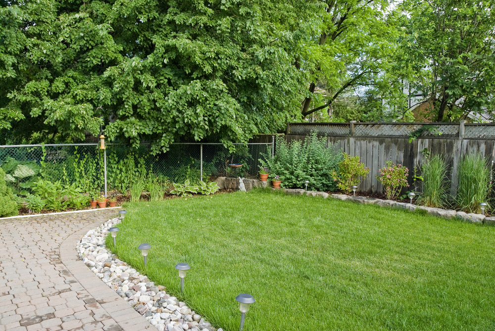 20 Steps to Planting a Mini Backyard Orchard with Minimal Space