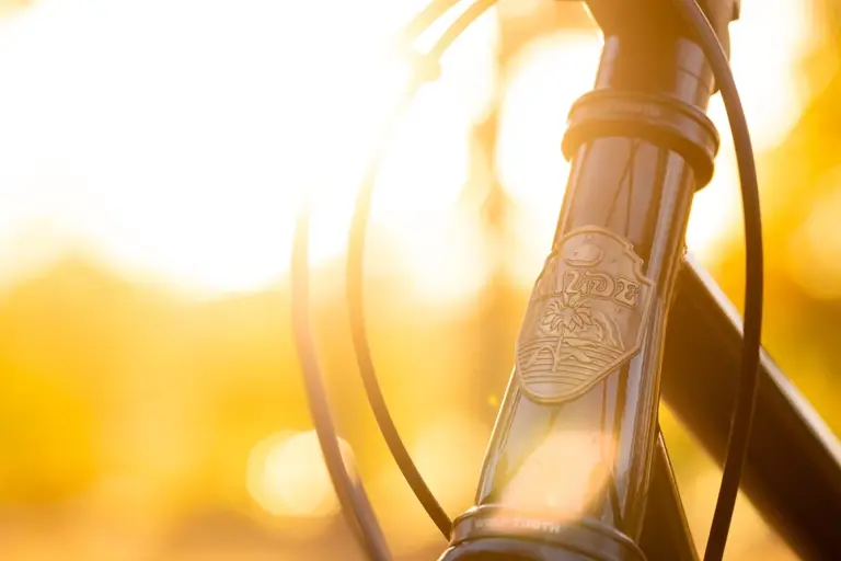 Let’s Meet the Dark Star, Wilde’s New 120/130 Trail Hardtail, plus the Future Proof Rigid Fork