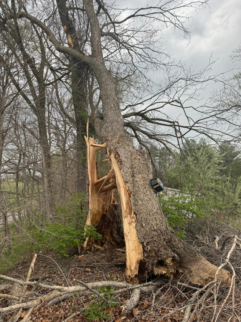 Fire chief dies between Advance and Delta, Mo. after storms