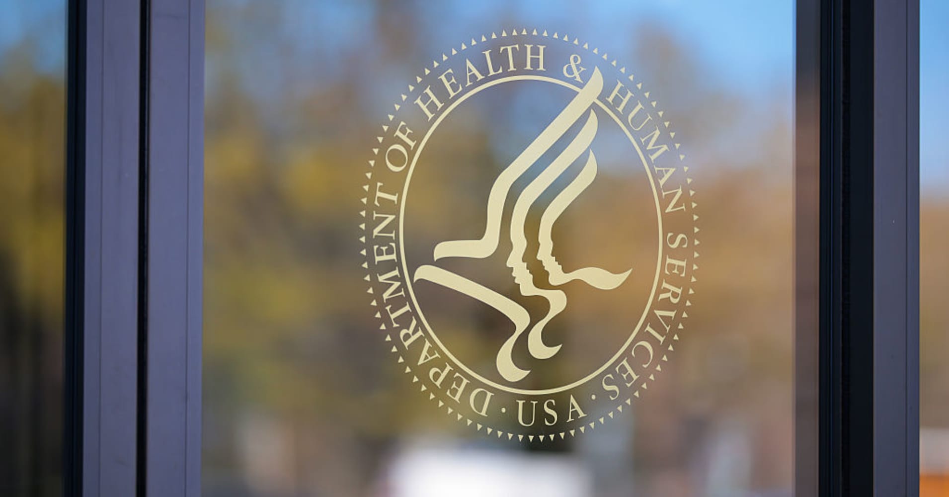 FDA employee found out she'd been laid off by email at 5 a.m.: 'I don't ...