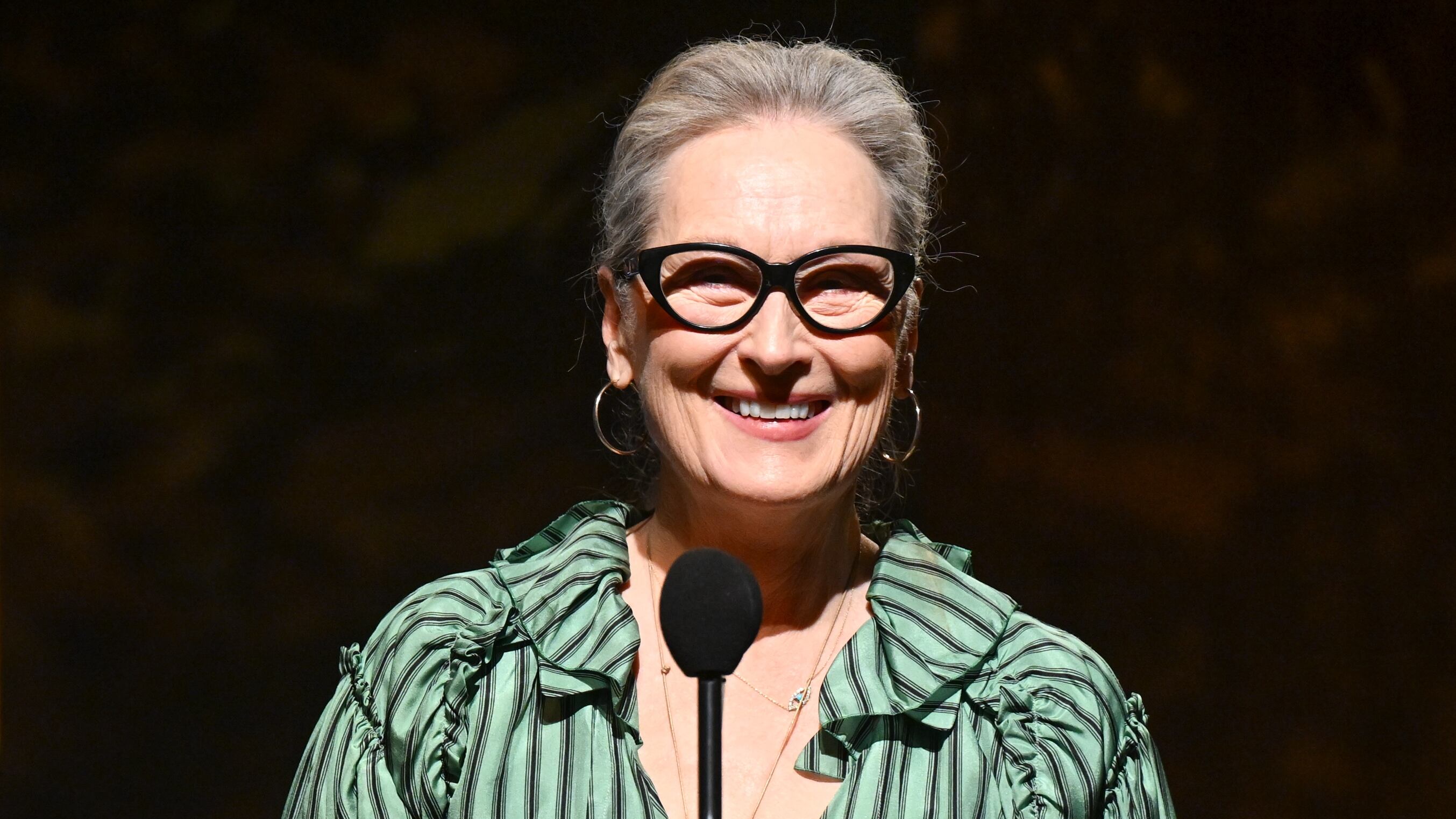 Meryl Streep Could Play Talking Lion in Greta Gerwig’s Netflix Epic