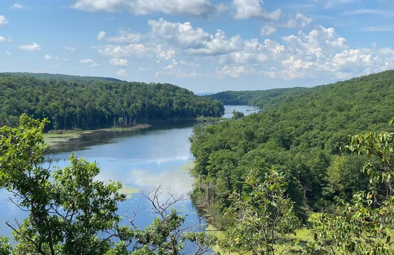 Think You’re Safe in the Water? These New York Lakes Are Packed With Snakes