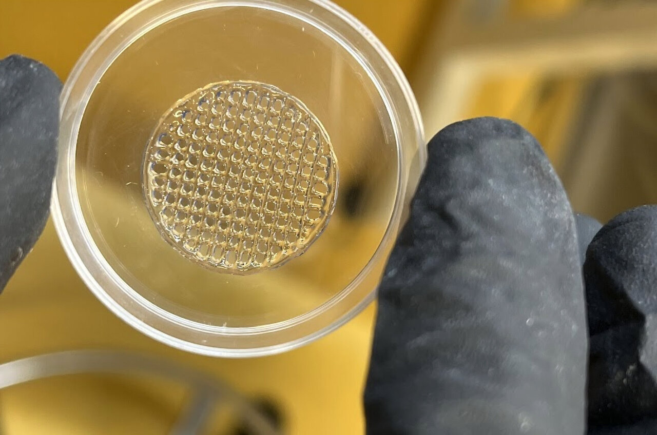 3D-printed skin imitation equipped with living cells could replace ...