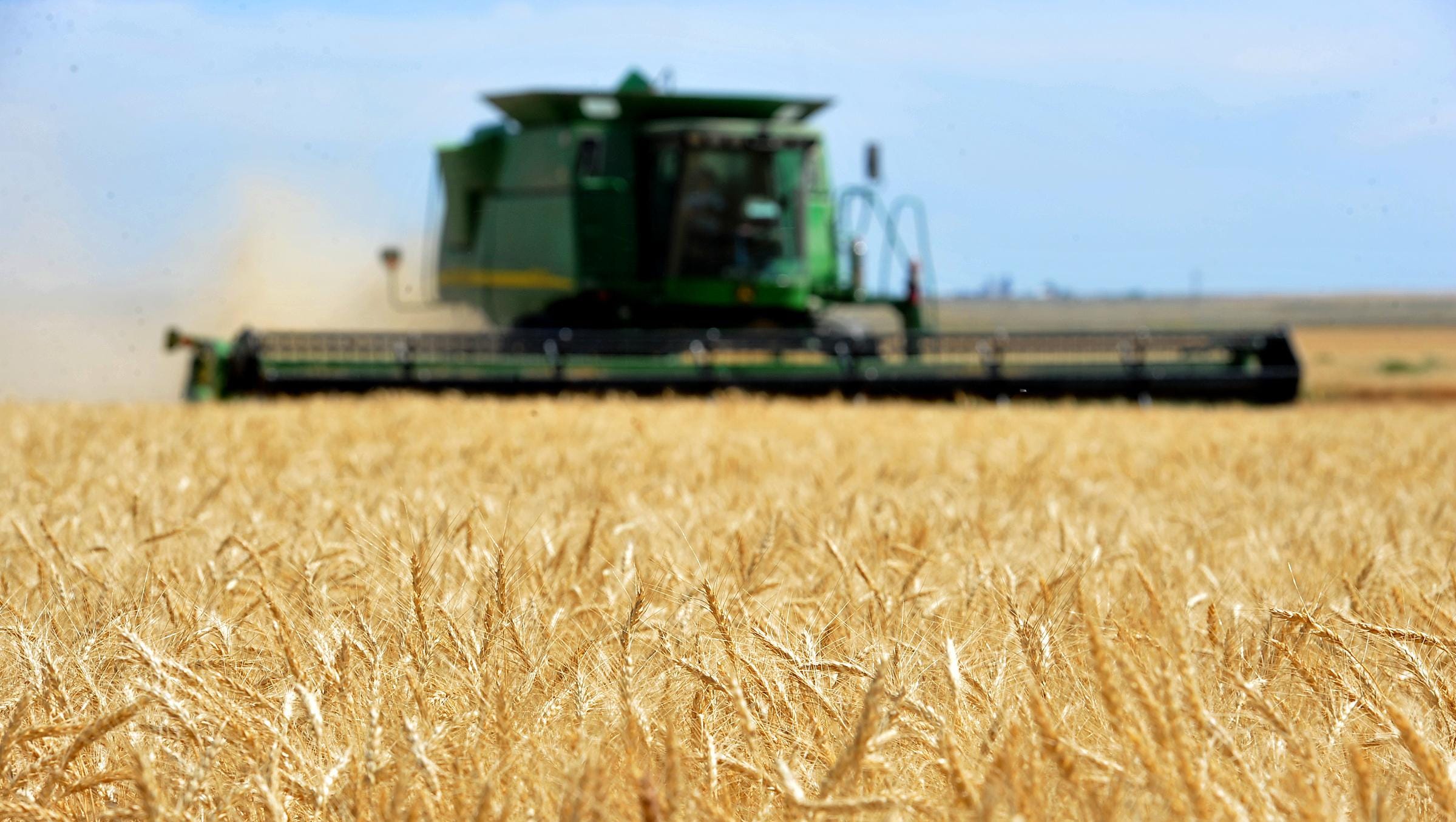 La récolte de blé du Maroc en 2025 en dessous de la moyenne malgré les ...