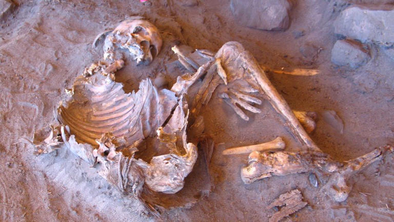 Ancient DNA sheds light on origins of 7,000-year-old Saharan mummies