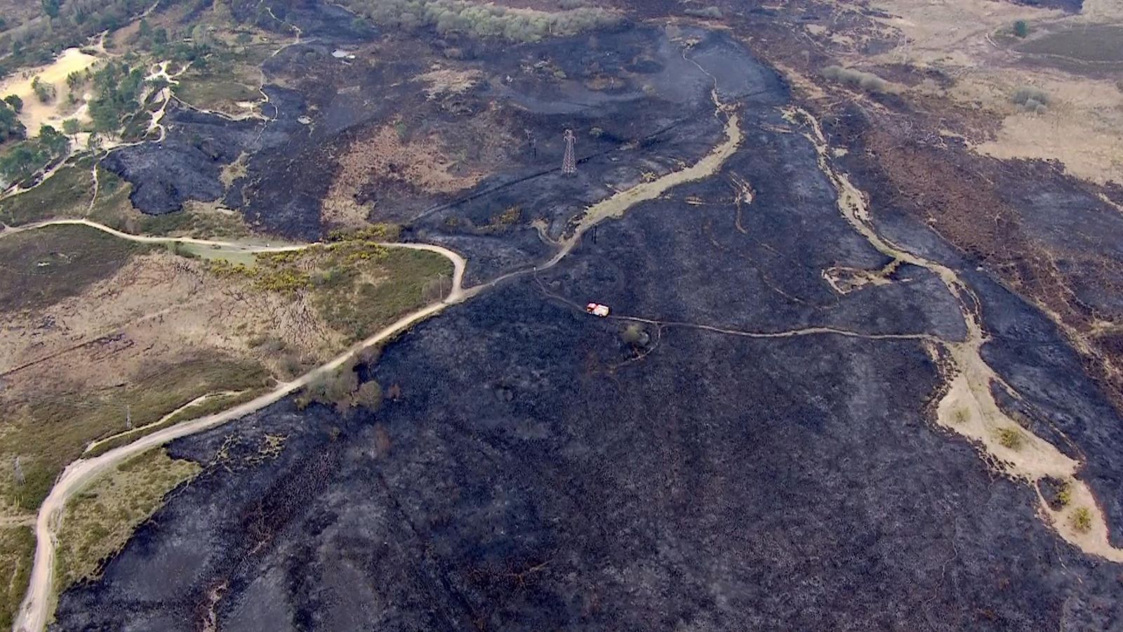 UK may be on track to see worst year for wildfires, data shows