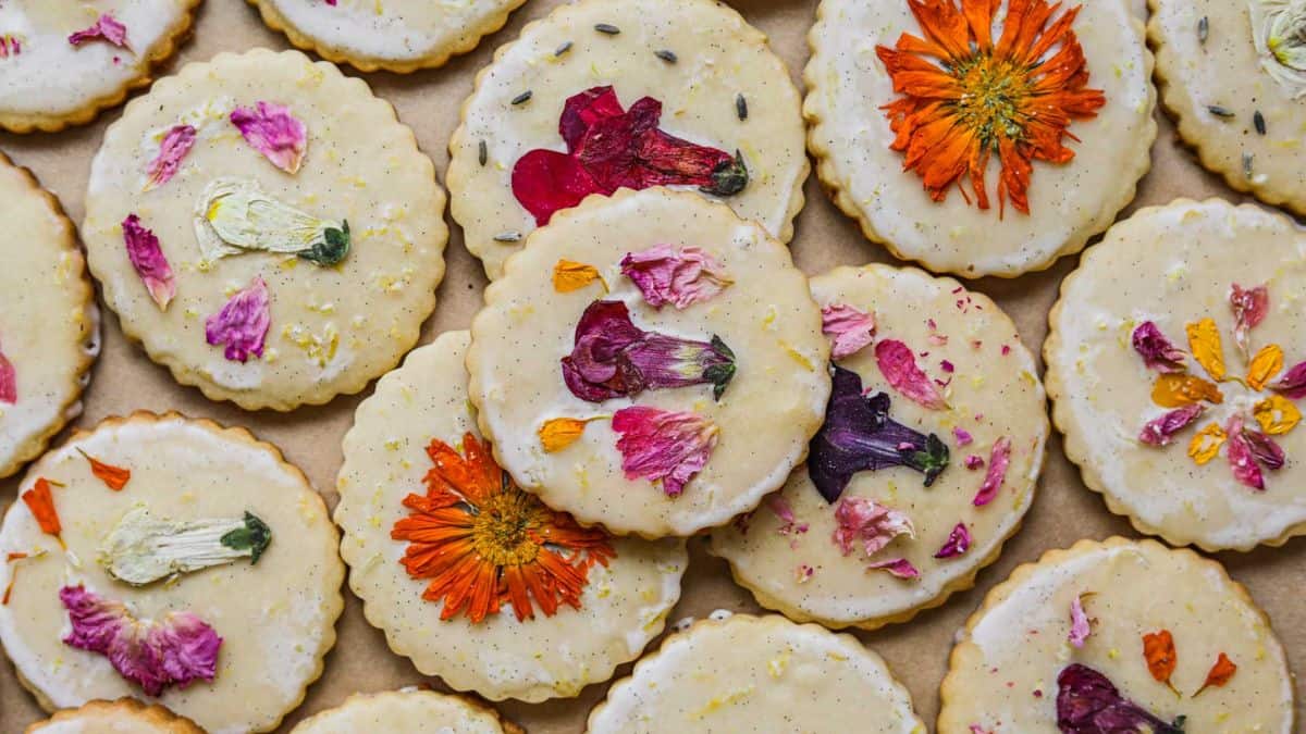 30 Spring Cookie Ideas That Bring the Sweetest Touch to the Season