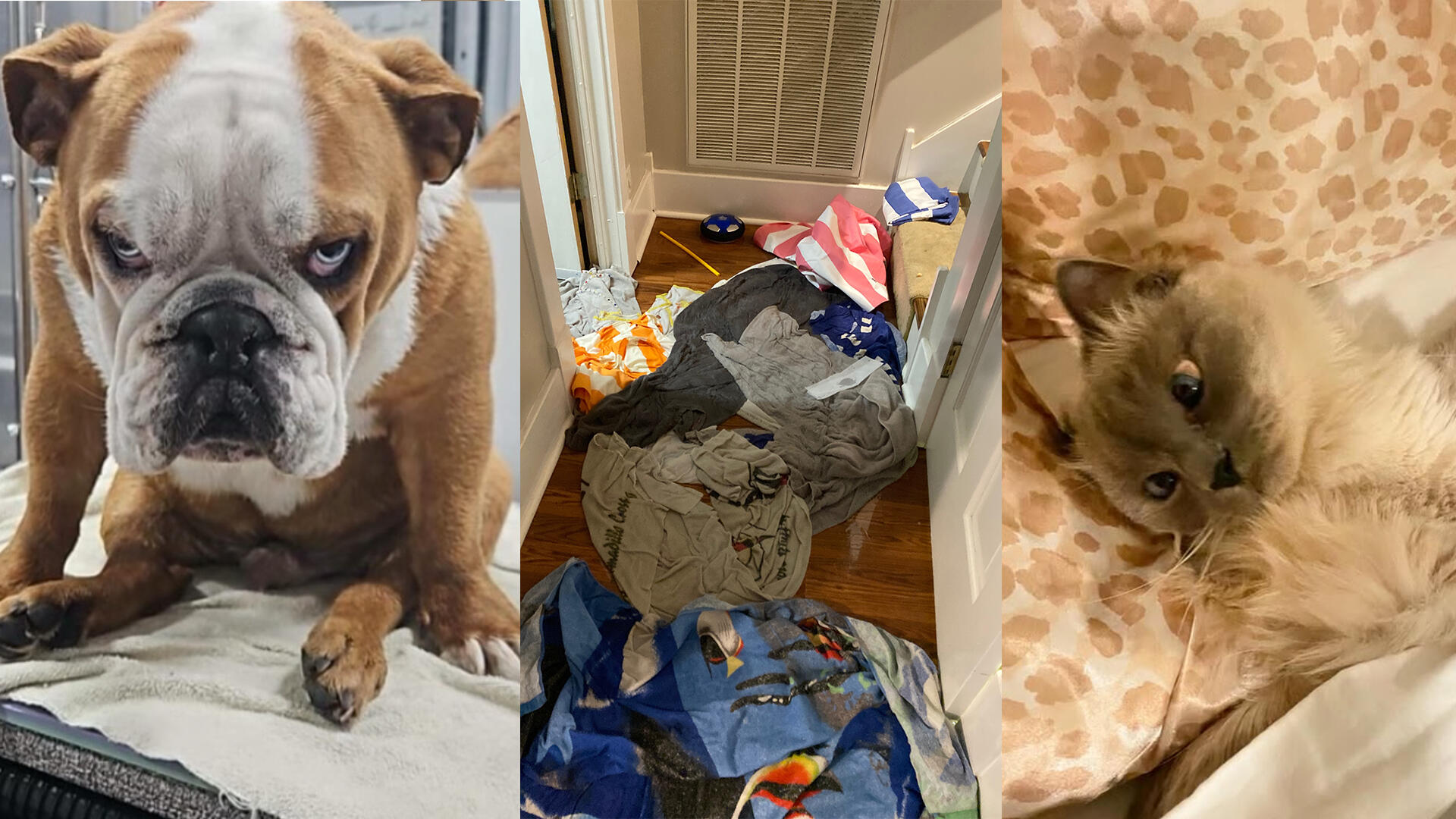 Show Members Admit Lame Things Happening in Their Lives