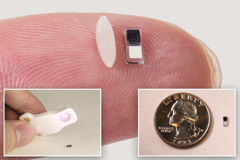 ‘World’s smallest pacemaker’ is implanted with a syringe and dissolves ...