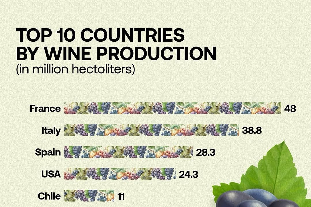 Top wine-producing countries you should know about
