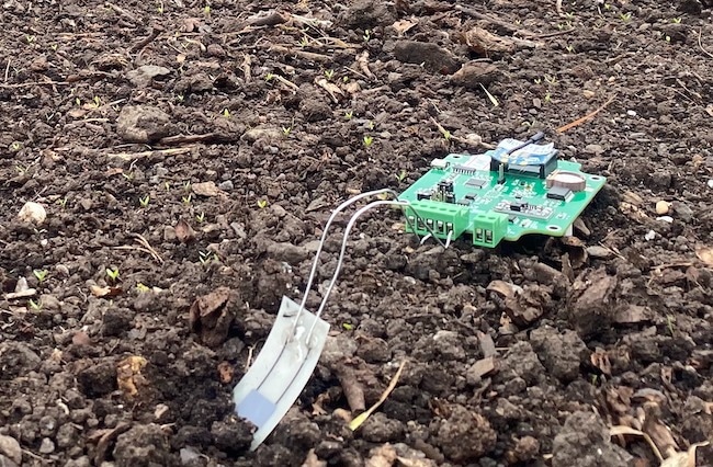 Biodegradable Soil Sensors Boost Yields and Reduce E-Waste