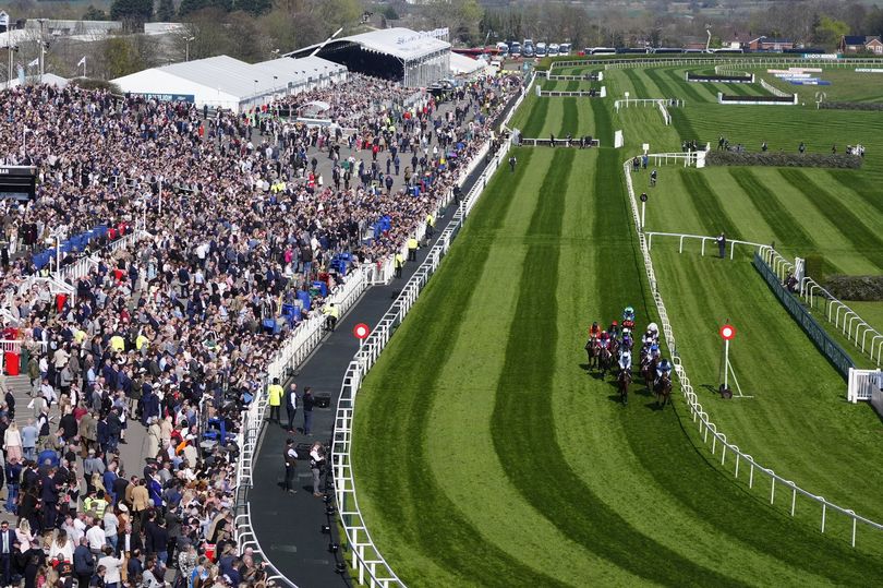 Grand National horse killed in horror fall as jockey taken away in ...