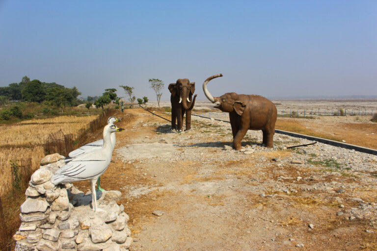 Nepali farmers switch crops to reduce human-elephant conflict