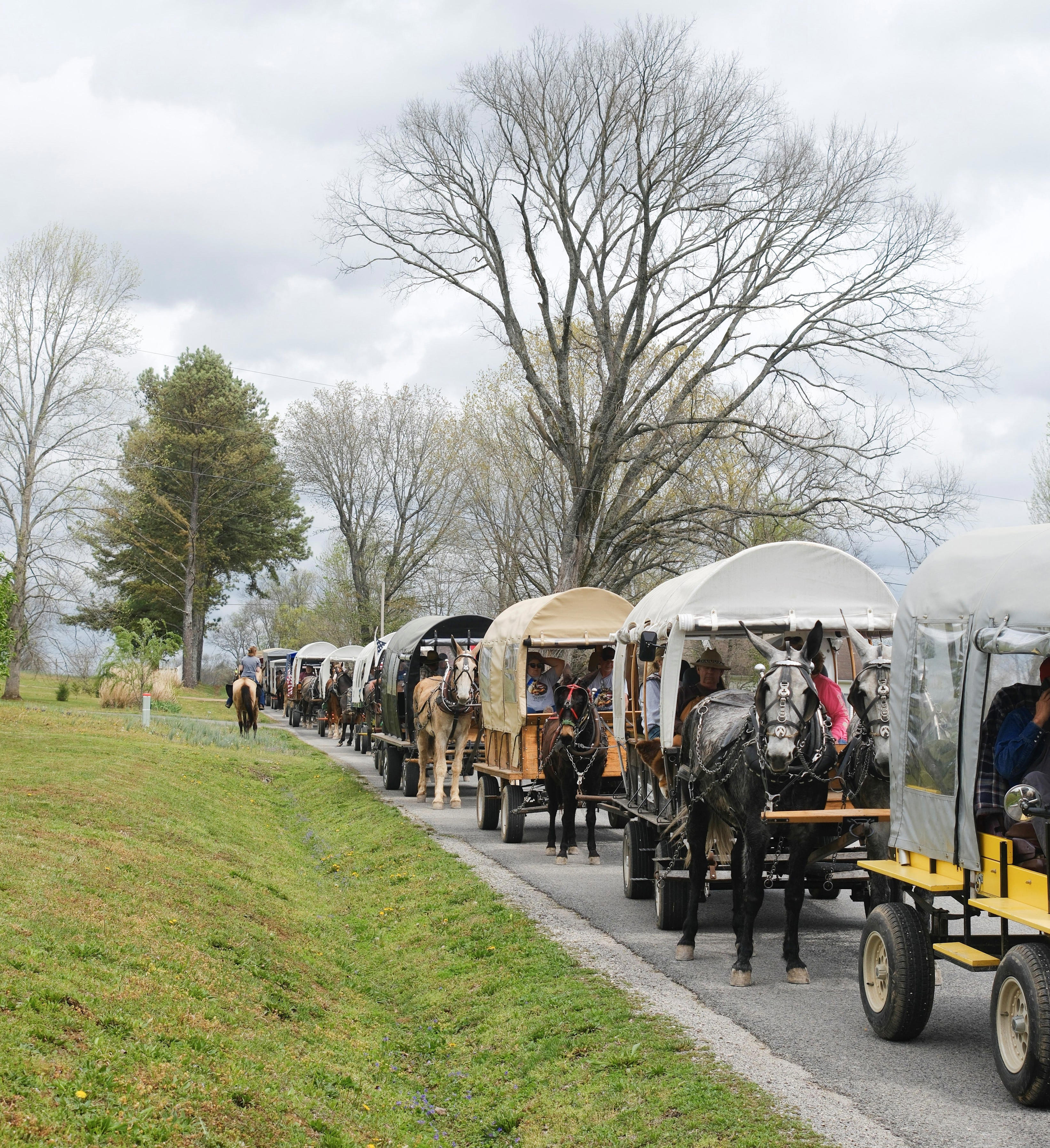 Things to do: Mules, markets, First Fridays, CAB Festival, Clean Comedy ...