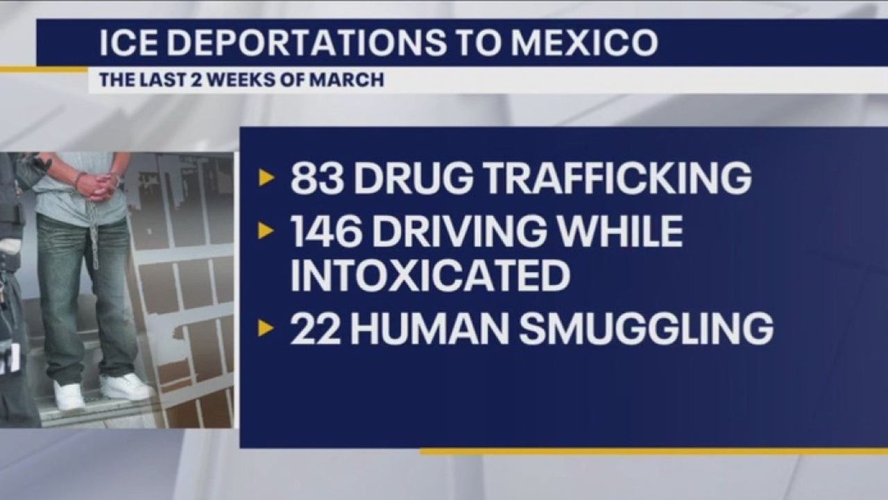 ICE Houston: Over 170 migrants with criminal histories deported to Mexico