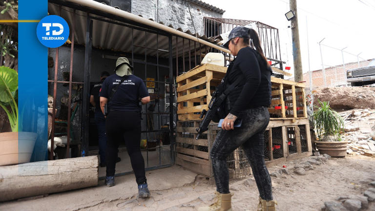 Fiscalía de Jalisco rescata a 32 personas de un anexo en Zapotlanejo ...