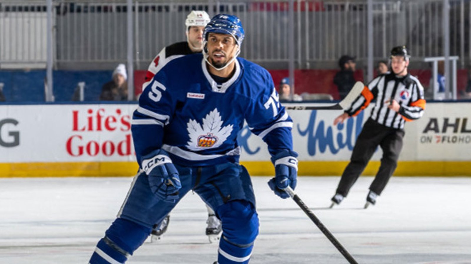Ryan Reaves creatively breaks AHL rules after being sent down by Leafs